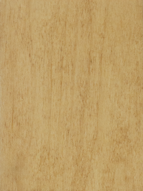 Stain Chart CHC | Envirolak